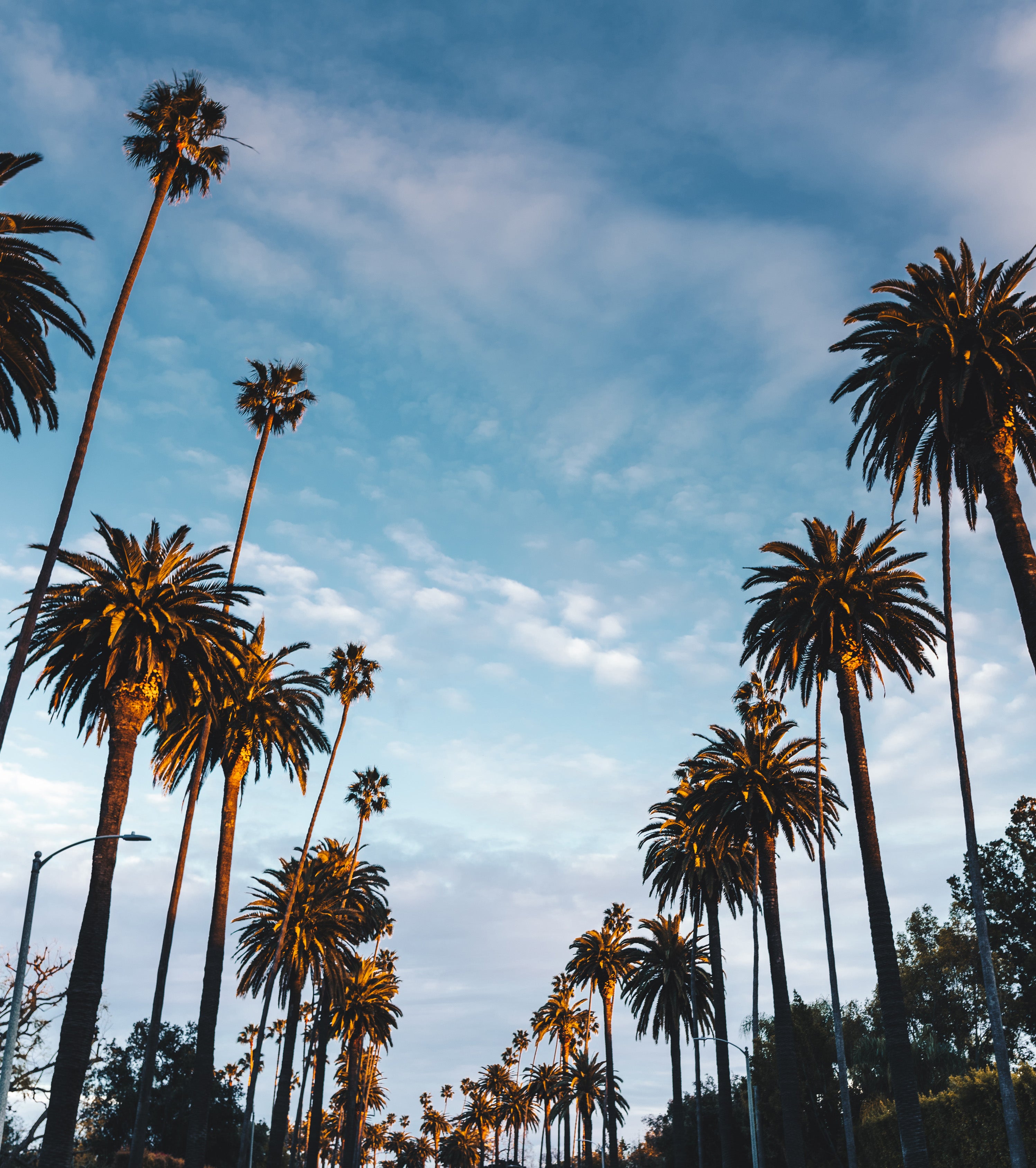 MOROBÉ | Official Site